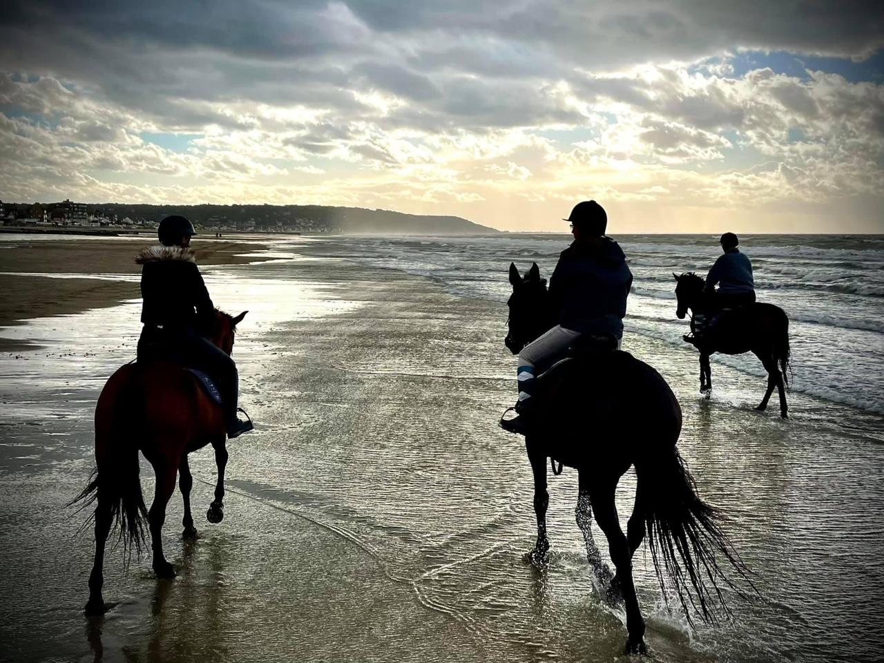 balade a cheval deauville avec le centre equestre de blonville ...